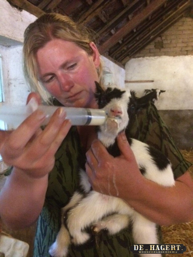 Jet is geboren! – Woonzorgboerderij de Hagert